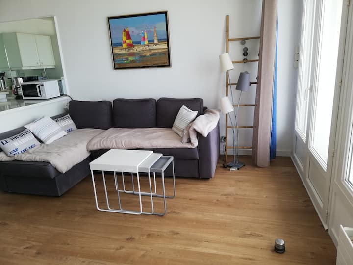 Appartement 3 Pièces, 6 Pers Front De Mer - Hardelot-Plage