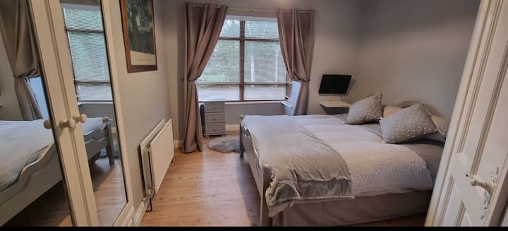 The Birches - Skerries