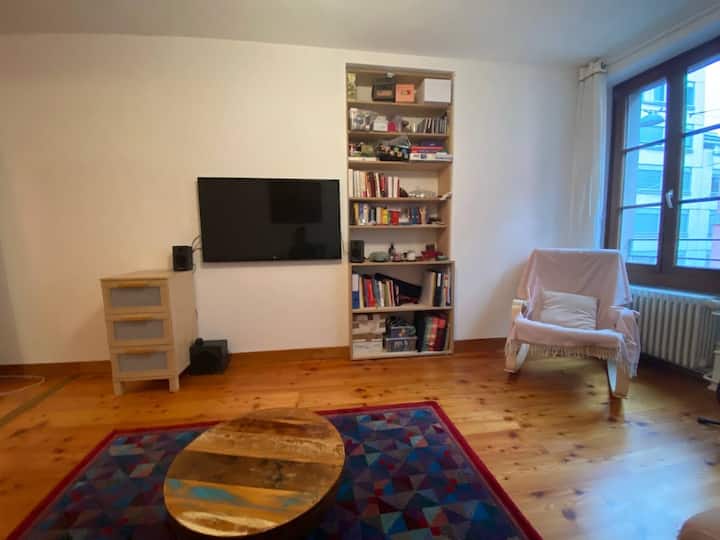 Havre De Paix Au Cœur De Genève - Plainpalais - Saint-Julien-en-Genevois