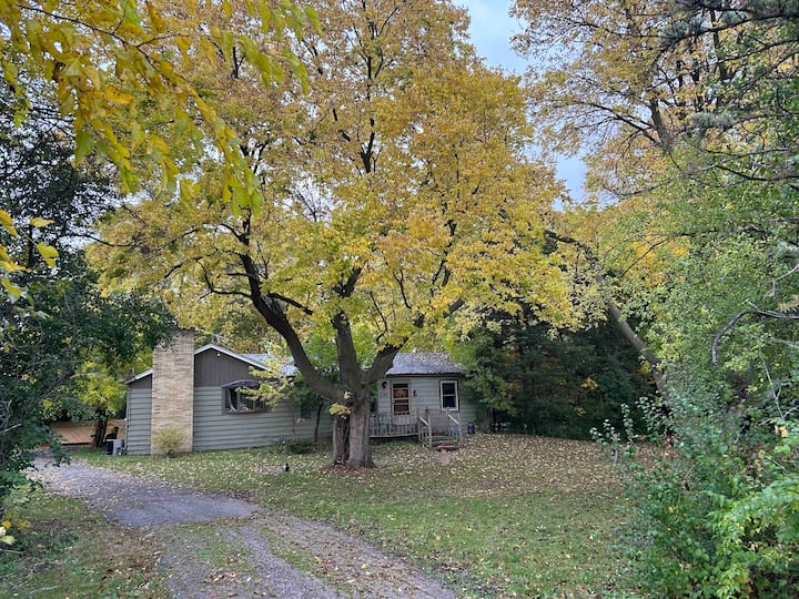 Nature Lovers Home And Dog Paradise! - Mallard Lake