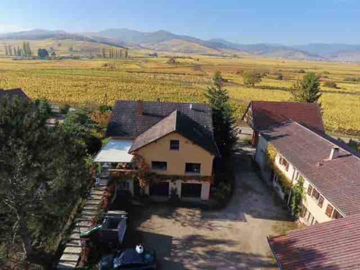 Appartement Au Milieu Des Vignes, Chez Le Vigneron - 케제르베르