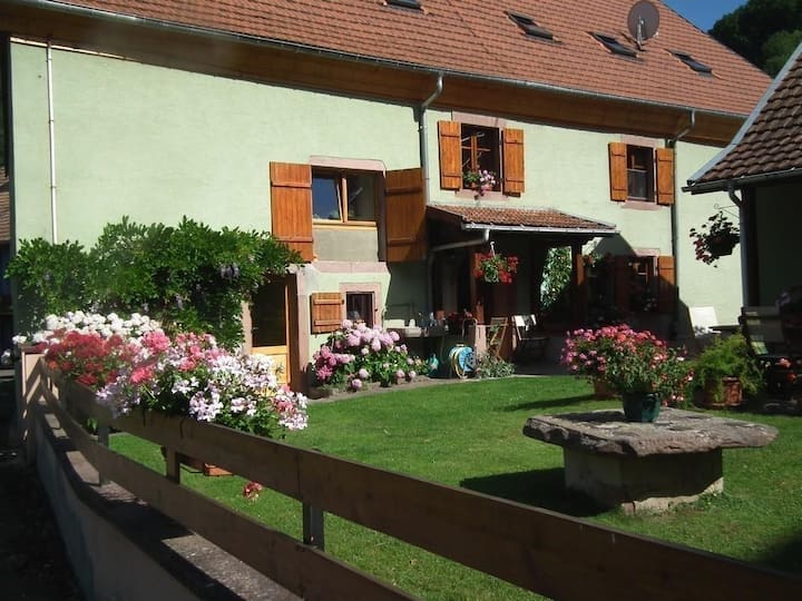 Chez Malou Vallée De Kaysersberg - Orbey