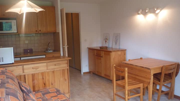 Très Bel Appartement En Pleine Nature - Ailefroide