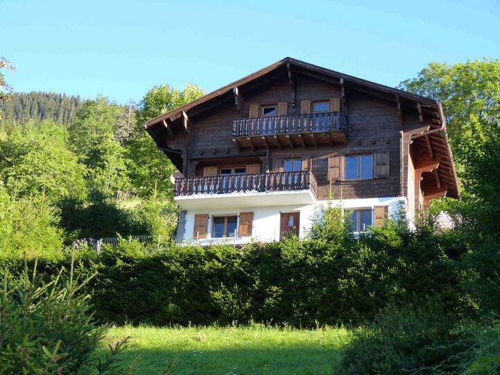 Charmant Chalet à Leysin - Leysin