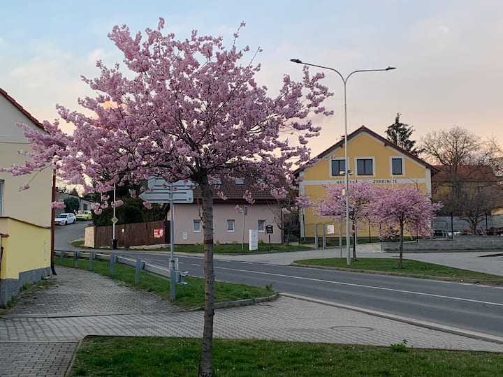 Apartmán Na Vršku Plzeň Litice - Pilsen