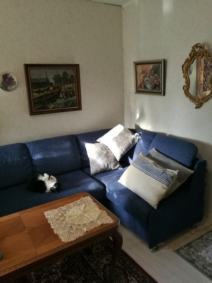 Cosy House At Teijo - Teijo