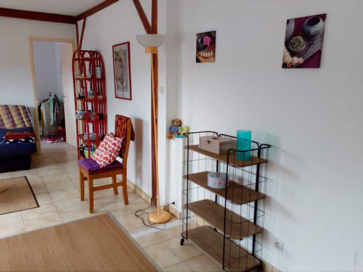 Appartement Côté Jardin Nature Proche Bord De Mer - 洛里昂