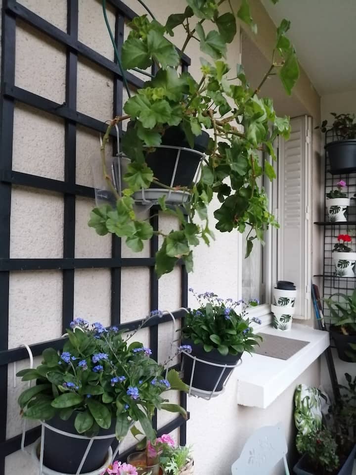 Appartement Centre Ville Au Bord De La Rivière. - Chasseneuil-du-Poitou