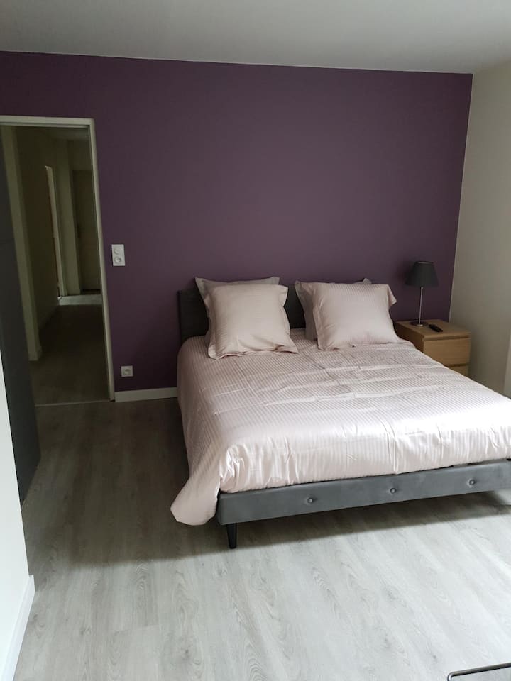Chambre Cosy En Plein Centre Ville - Châtellerault