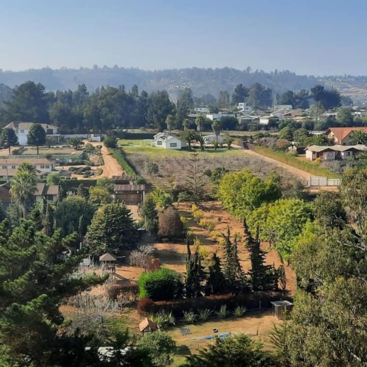 Cómodo Departamento En Algarrobo - Algarrobo