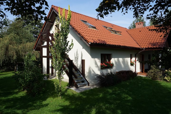 Dom Z Kogutem - Krakow