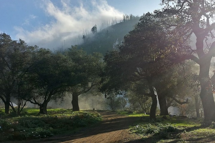 Harrison Serenity Ranch - Groups Over 50 - Palomar Mountain State Park, Palomar Mountain