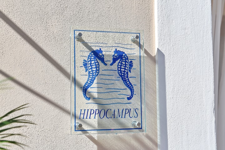 Hippocampus - Castellabate