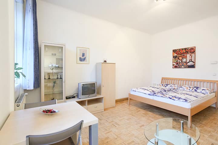 Freundliches Helles 1-zimmer Apartment Nahe Vic - Viena