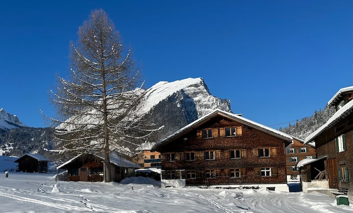 Au, Rdc Pour 6 Pers, Ideal Ski, Bregenzerwald 90m2 - Damüls