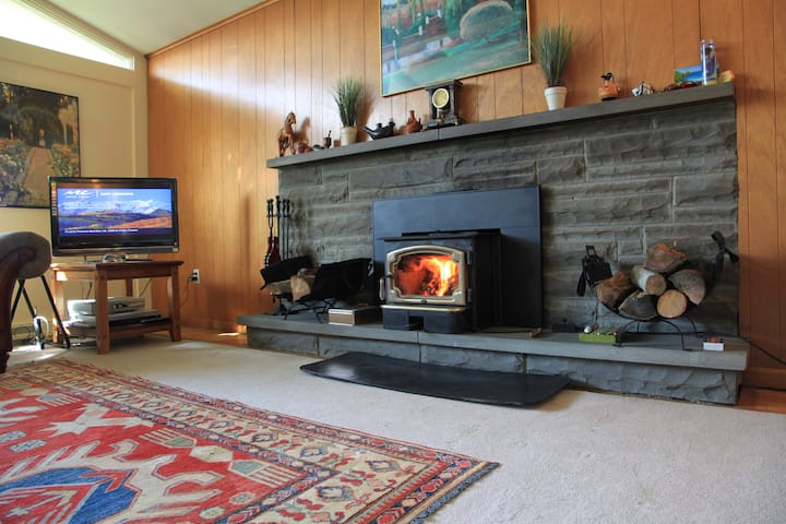 Mid-century Charm! Full Of Light & Garden! - Ithaca, NY