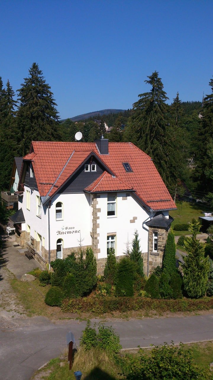 Goethe-friedegerns Fewo In Jugendstilvilla - Wernigerode