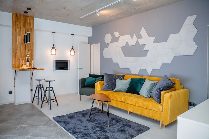Luxury Apartments In The City Center - Kaliningrad