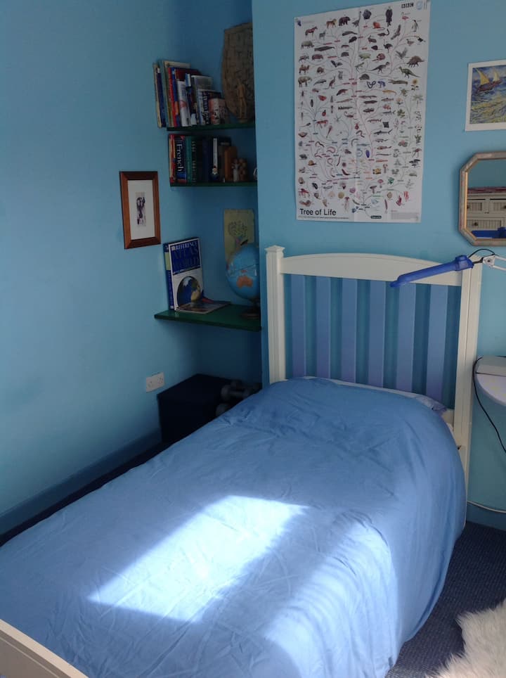 Comfortable Victorian Terrace - Belfast