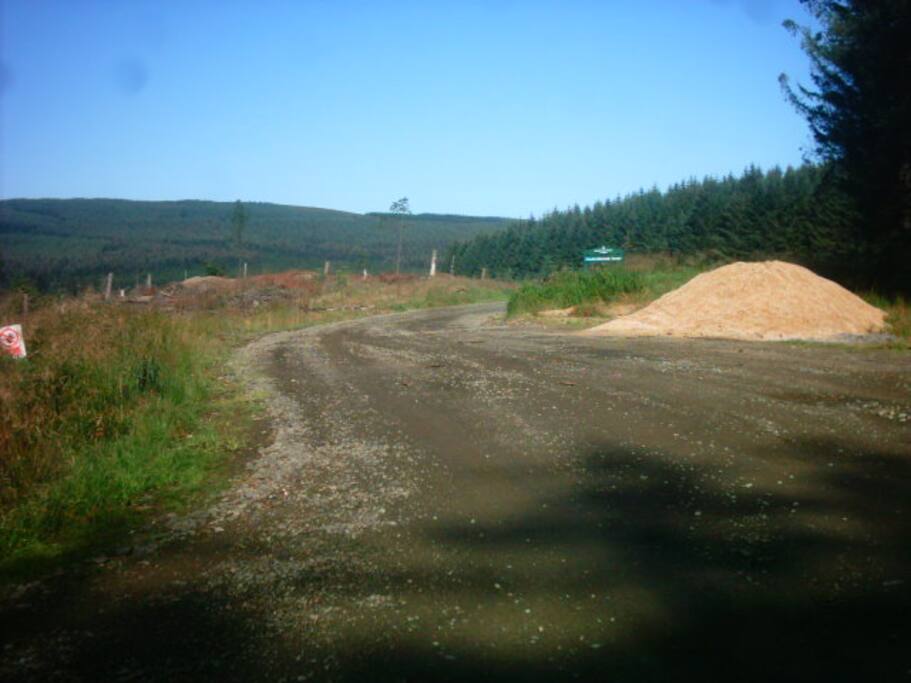 Bogancloch Treehouse - Treehouses for Rent in Rhynie