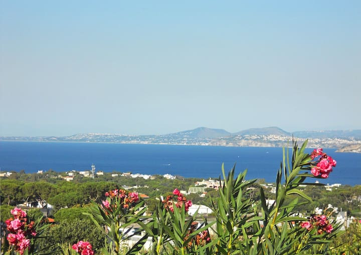 Villa Con Giardino-panorama Magico! App. 2 - Ischia