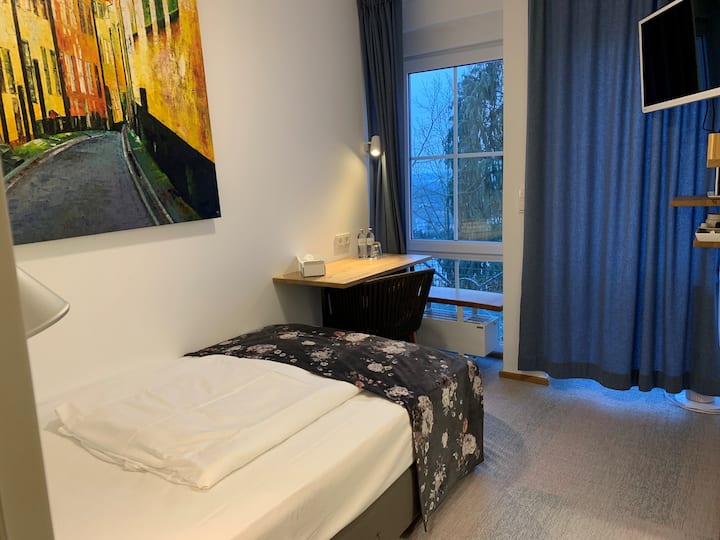 Comfort Single Room In The Hotel Schöne Aussicht - Francoforte sul Meno, Germania