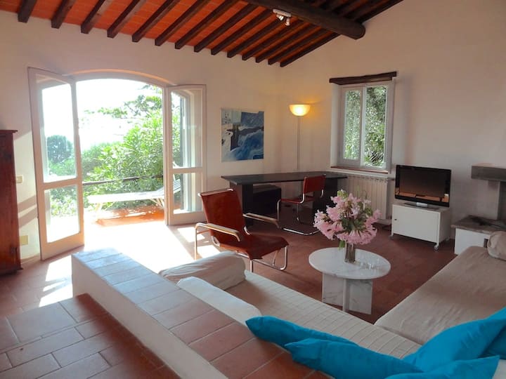 Panorama House With Olive Grove - Casa Zahner - Viareggio