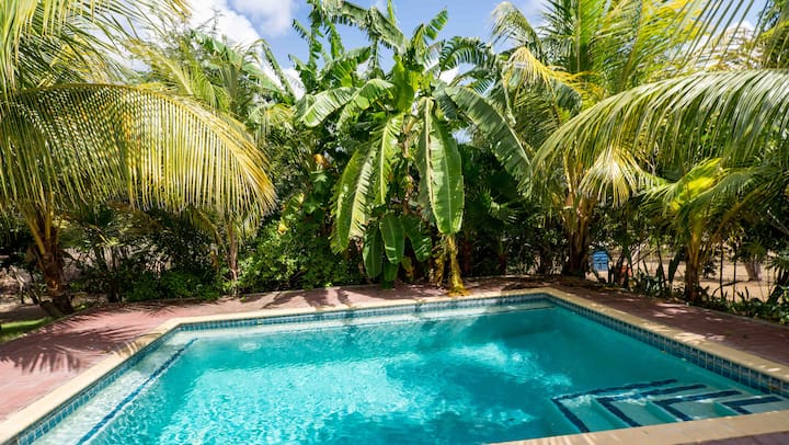 Lazy Bears Luxury Apartment - Curaçao
