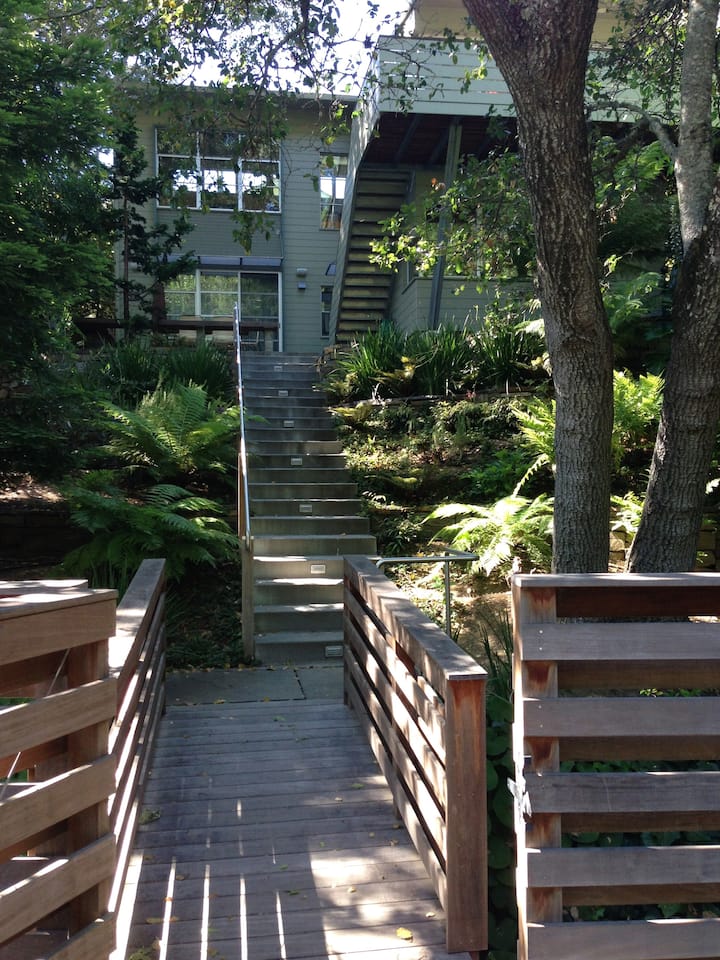 Redwood Grove Treehouse Retreat (Superhost) - Tiburon, CA