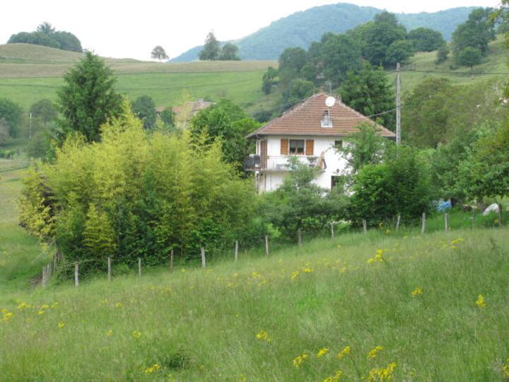 Gîte Dalanne, Calme, Confortable, Dans La Nature - Voiron