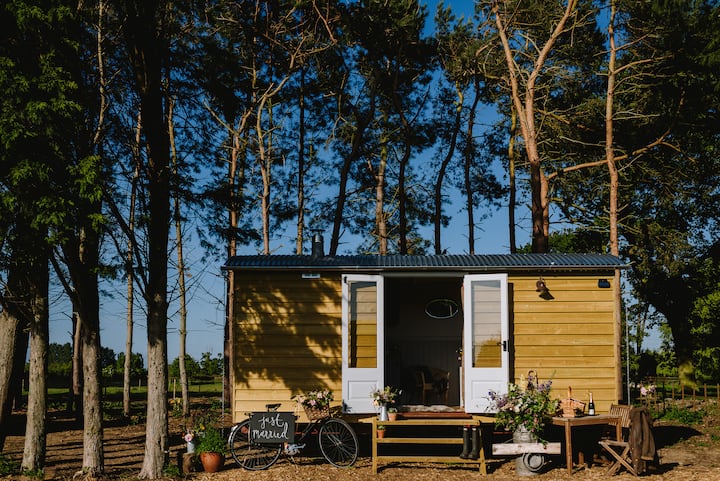 Godwick Shepherd's Hut - Norfolk Horn - Fakenham