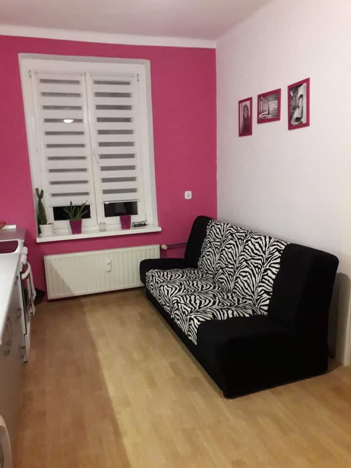 Apartment - 500m From Spodek And Mck Premises - Katowice