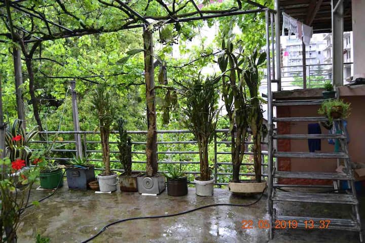 Уютный дом у моря возле бульвара - Batumi