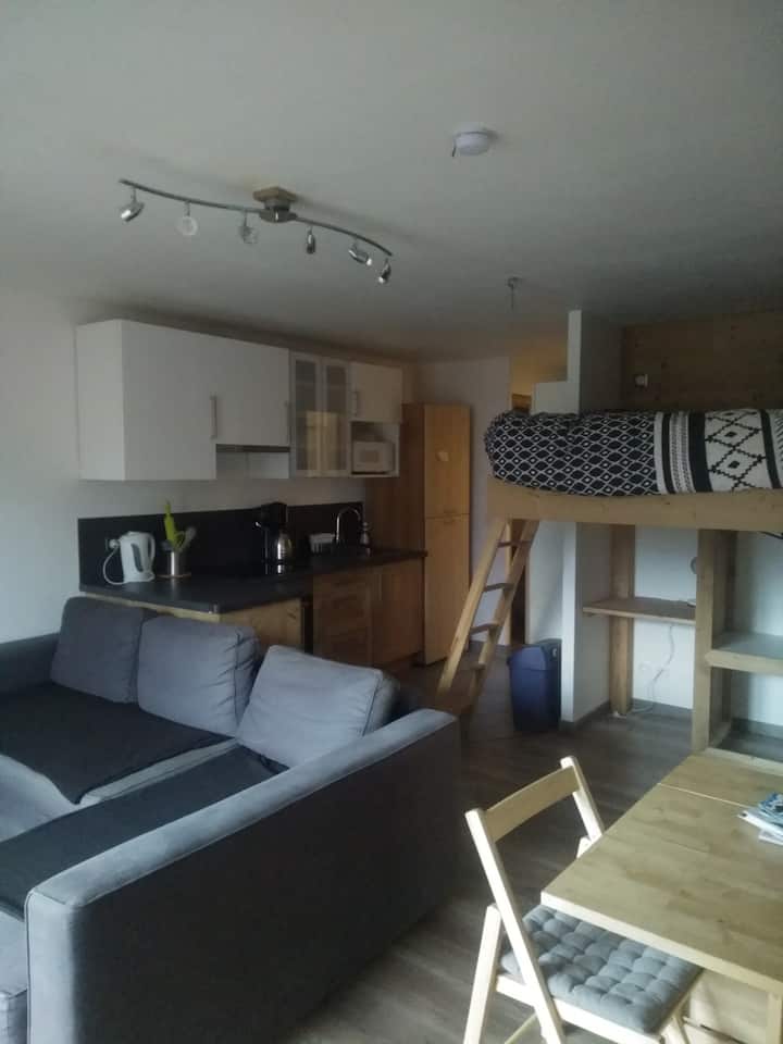 Cozy Studio 30m2 - Les Gets