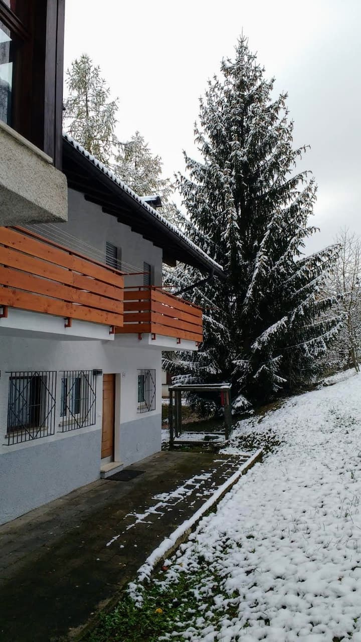 Comfort Apartment With Views Of The Dolomites - Tesero