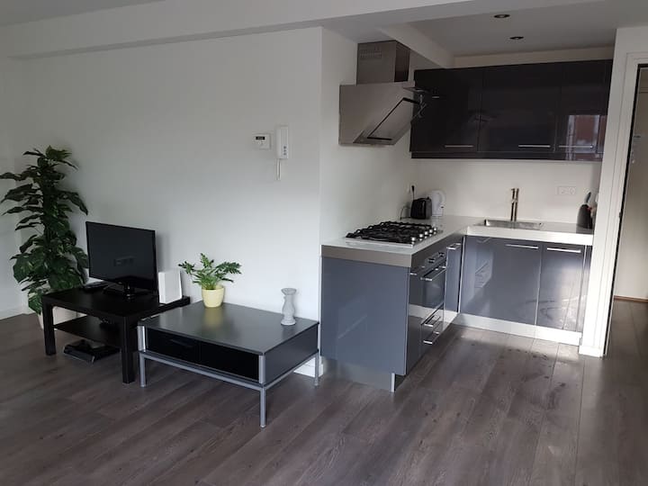 Renovated In February 2020 - Cozy & Spacious Flat - Eindhoven