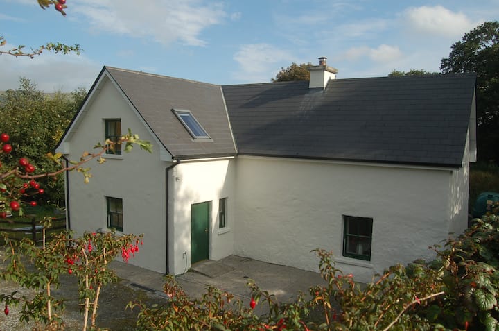 Connemara Artists Cottage - Mayo