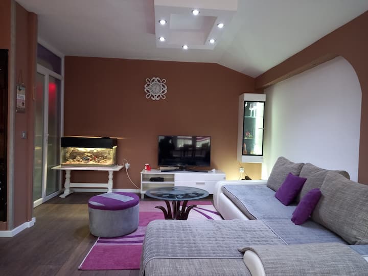 Vini Modern Apartment/ Parking/optic Internet - Skopje
