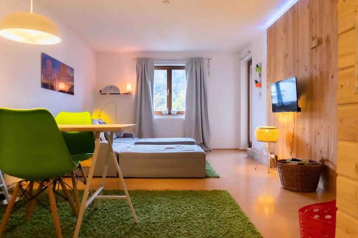 Ferienwohnung 1alage -Citynah - Friburgo, Alemania