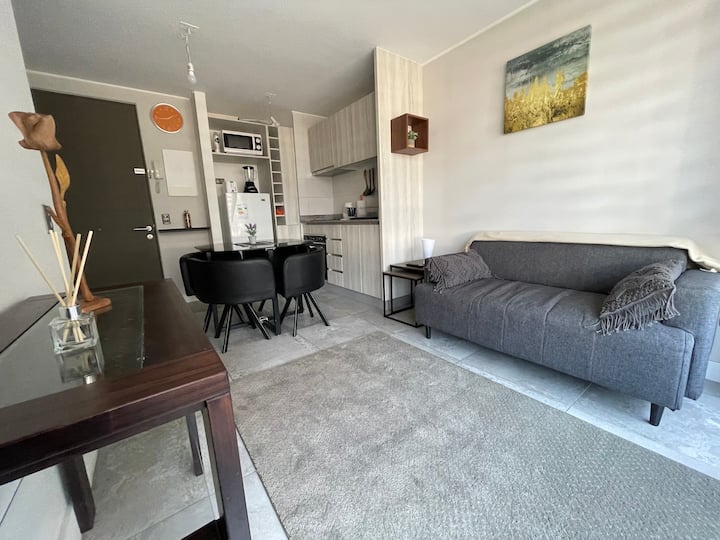 Cómodo Departamento Completo En Centro De Santiago - Santiago (Chile)