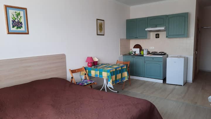 10 Floor Studio With Great Views Near The Forest - Трускавец
