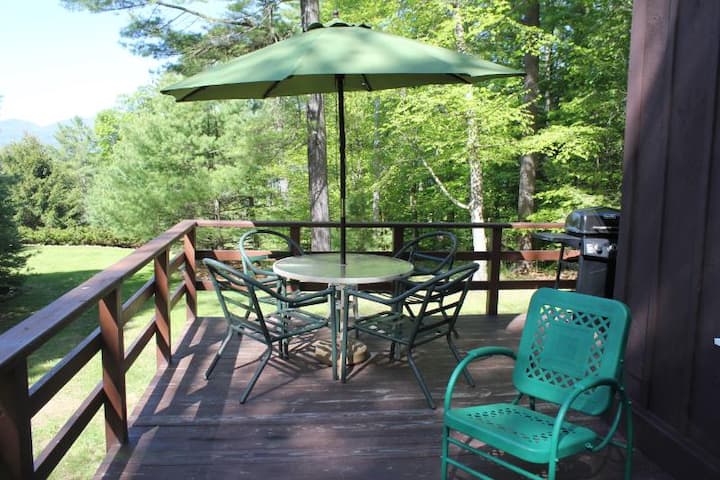 Private Country Cottage - Hague, NY