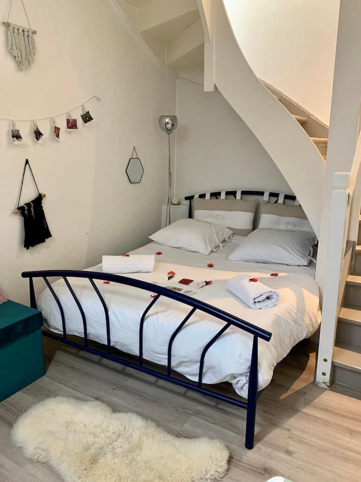 Duplex 30m2,lille-centre Aux Pieds De La Citadelle - Lille