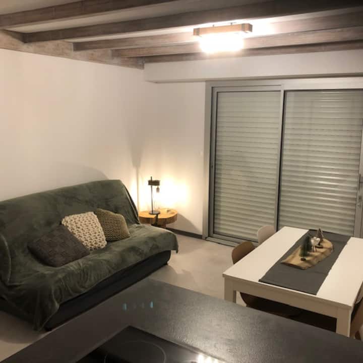 Loue T3  A Loudenvielle Avec Jardinet - Loudenvielle