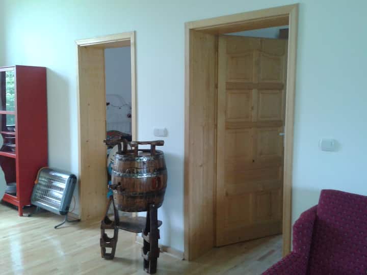 House With Big Garden - Sokobanja