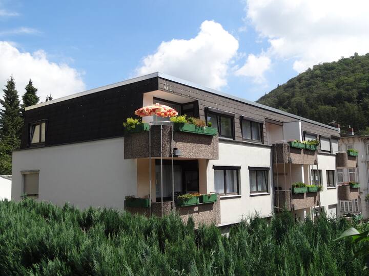 Ferienwohnung S. Valentin "Tor Zum Harz" - Bad Harzburg