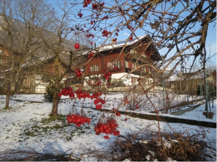 Für Geniesser - Brienz