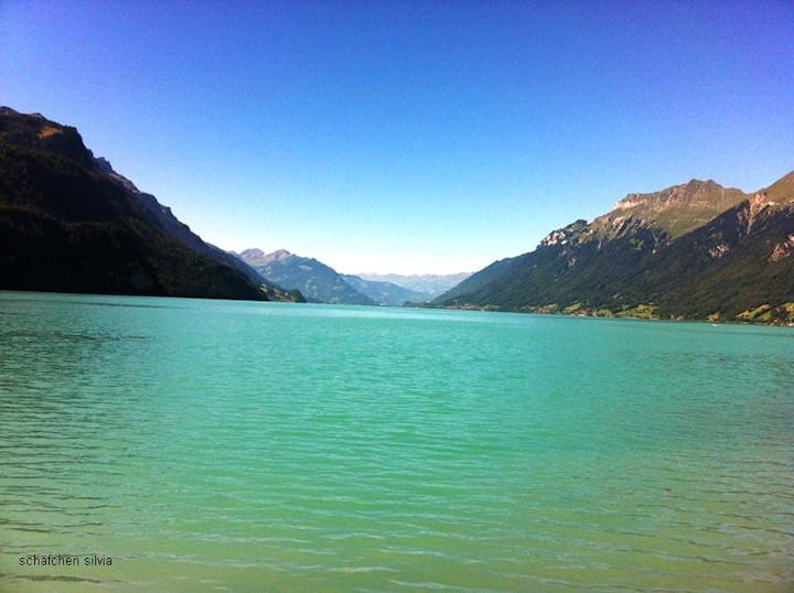 Für Geniesser - Brienz