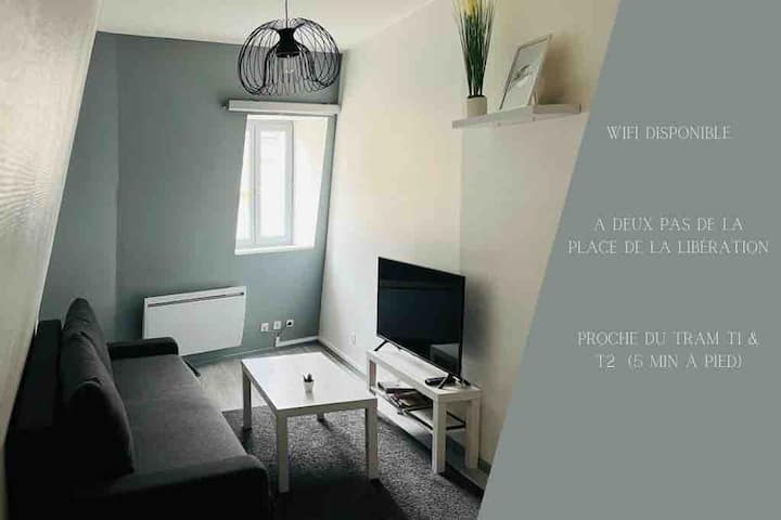 L'appartement Des Ducs - Dijon