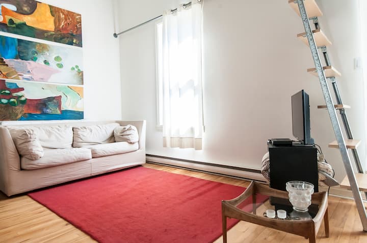 Charmant Studio Au Cœur Du Plateau - Montreal